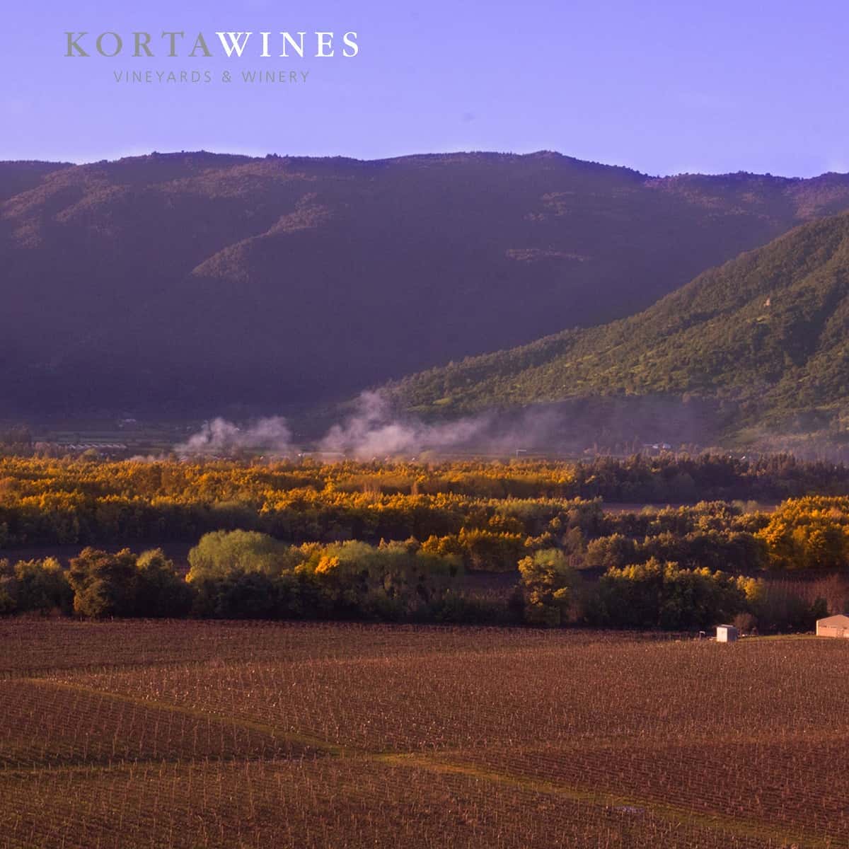 Korta Wines • De Vos Wijnen